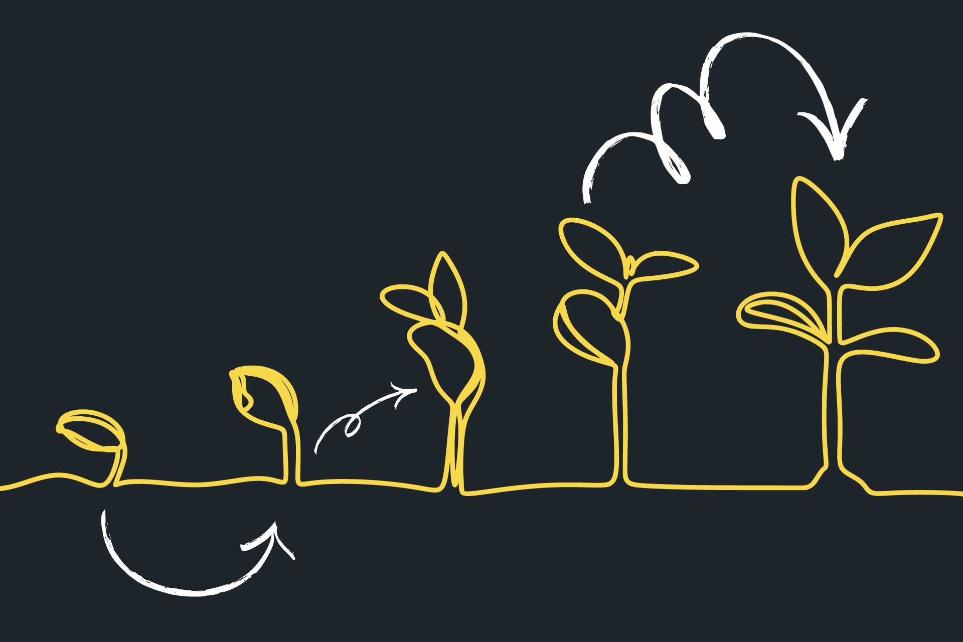 Learning maturity models explained